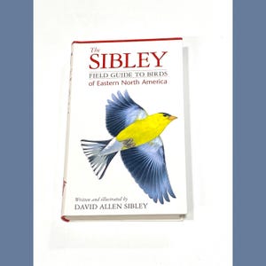 Sibley Bird Guide Paperback, Vintage Pre-owned (eastern North America ...