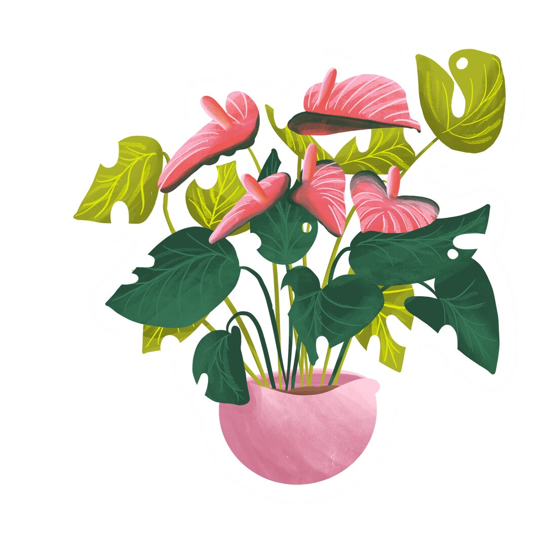Zoe Die-cut Vinyl Sticker (dimensions: 3 in Height X 2.98 in Width) - Etsy