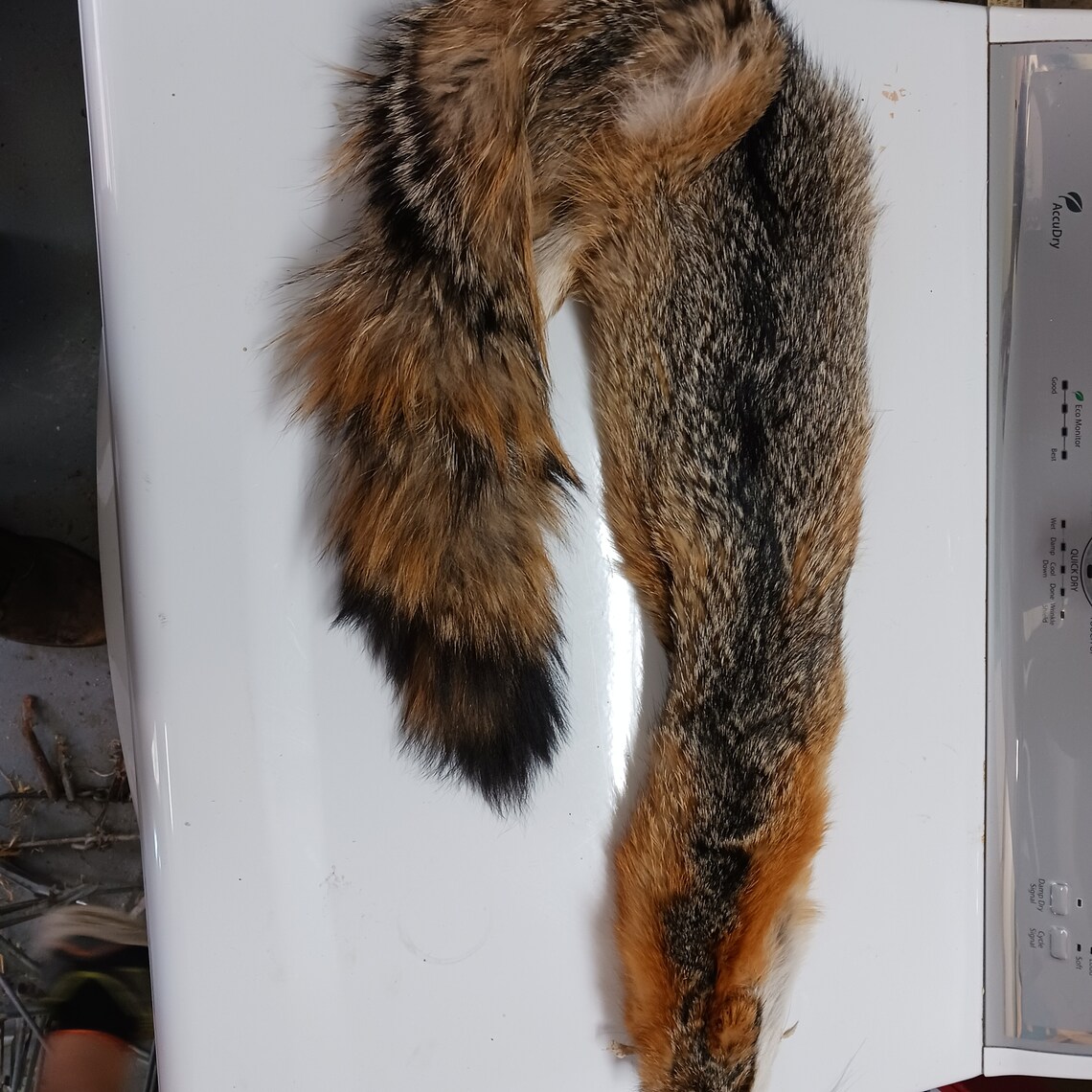 Beautifully Tanned Grey Fox Hides - Etsy