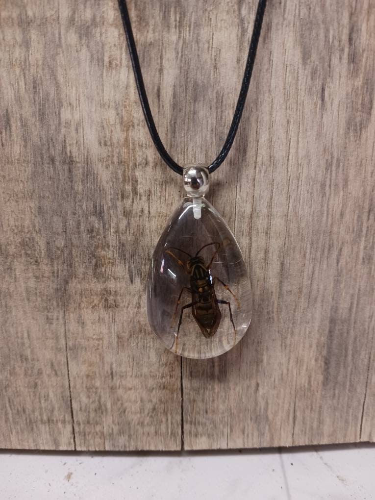 Preserved Bug Encapsulated in Epoxy on a Necklace. - Etsy