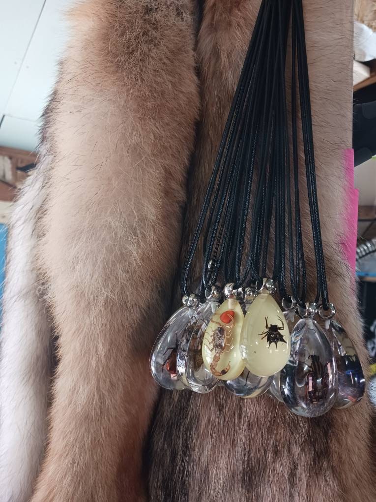 Preserved Bug Encapsulated in Epoxy on a Necklace. - Etsy