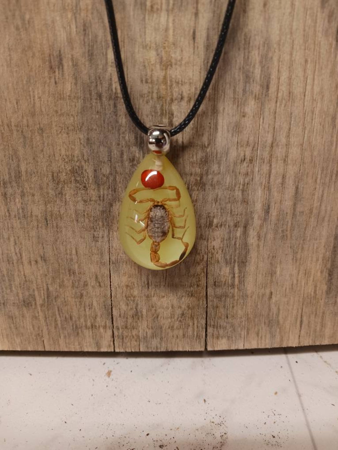 Preserved Bug Encapsulated in Epoxy on a Necklace. - Etsy