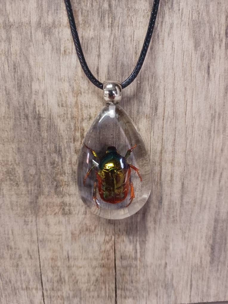 Preserved Bug Encapsulated in Epoxy on a Necklace. - Etsy
