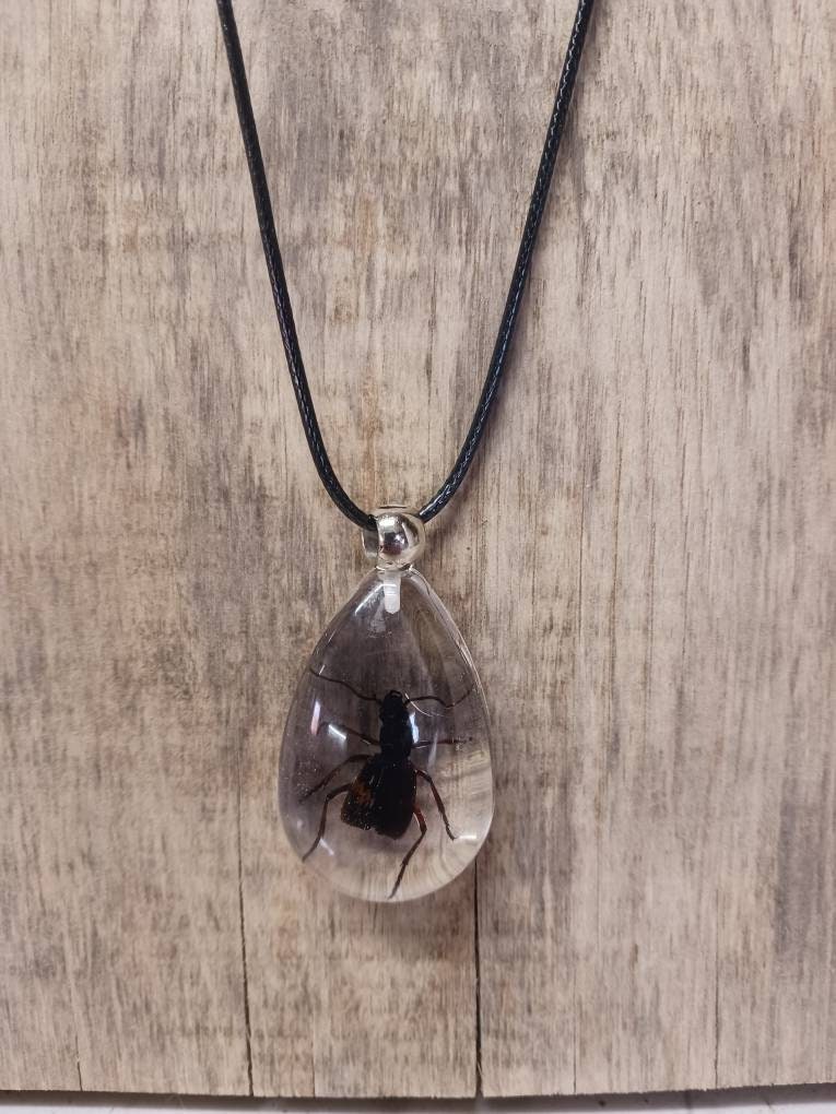 Preserved Bug Encapsulated in Epoxy on a Necklace. - Etsy