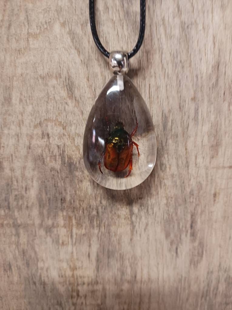 Preserved Bug Encapsulated in Epoxy on a Necklace. - Etsy