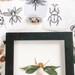 14 Insect Outlines for Mini Beasts and Loose Parts Montessori - Etsy