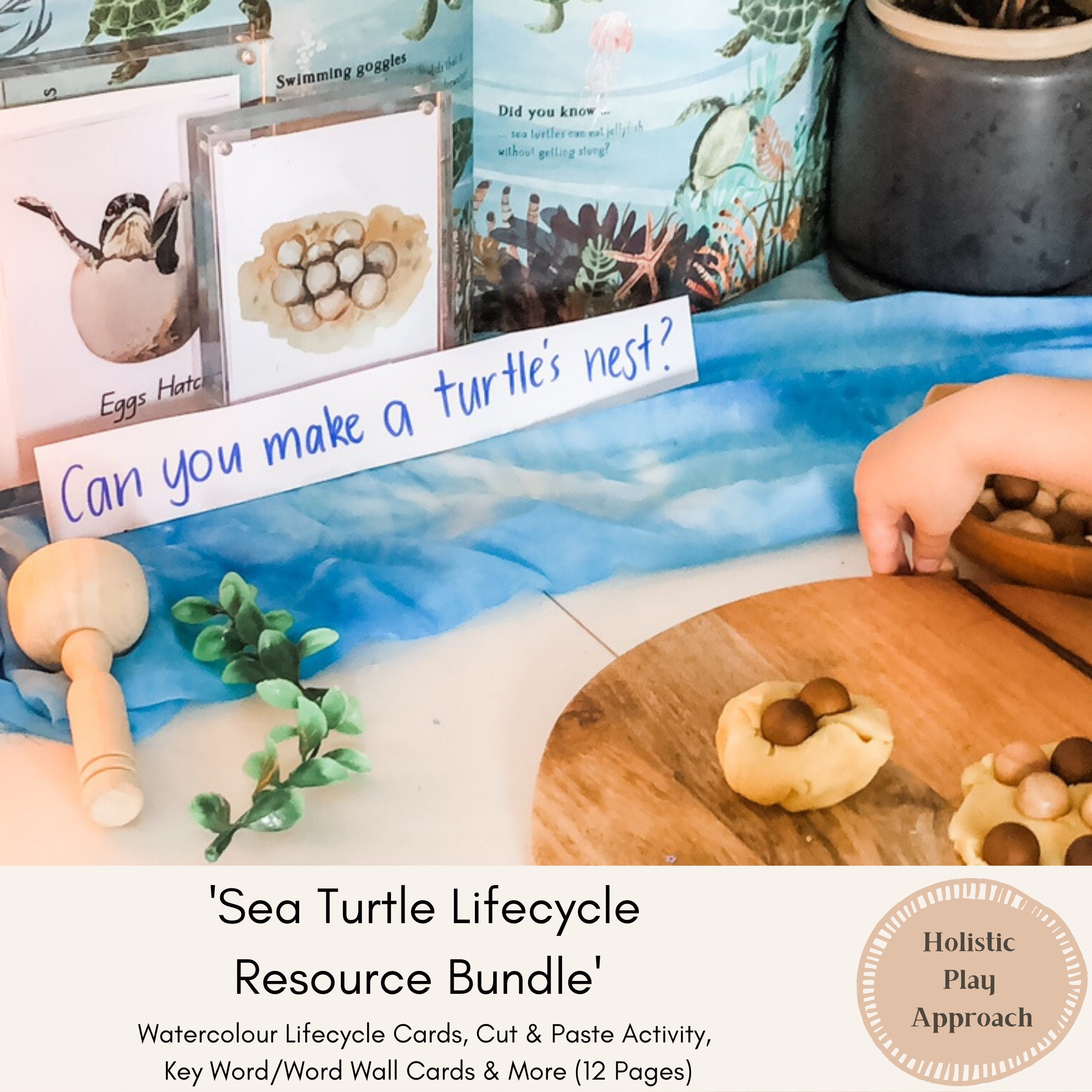 Watercolor Lifecycle of a Sea Turtle Set for Under the Sea Montessori ...