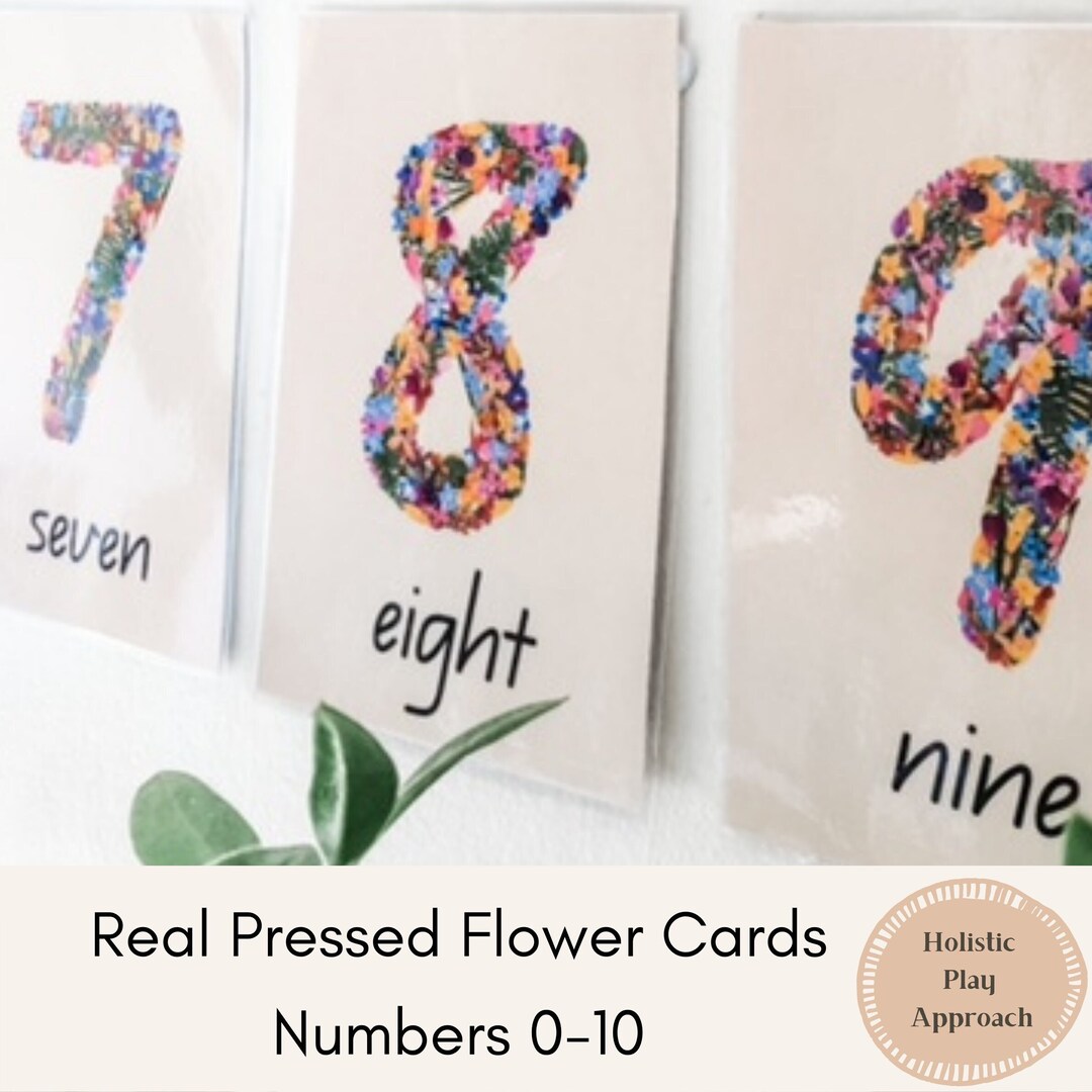 Real Pressed Flower Numbers (0-10, White, Neutral, Lilac Background) - Etsy