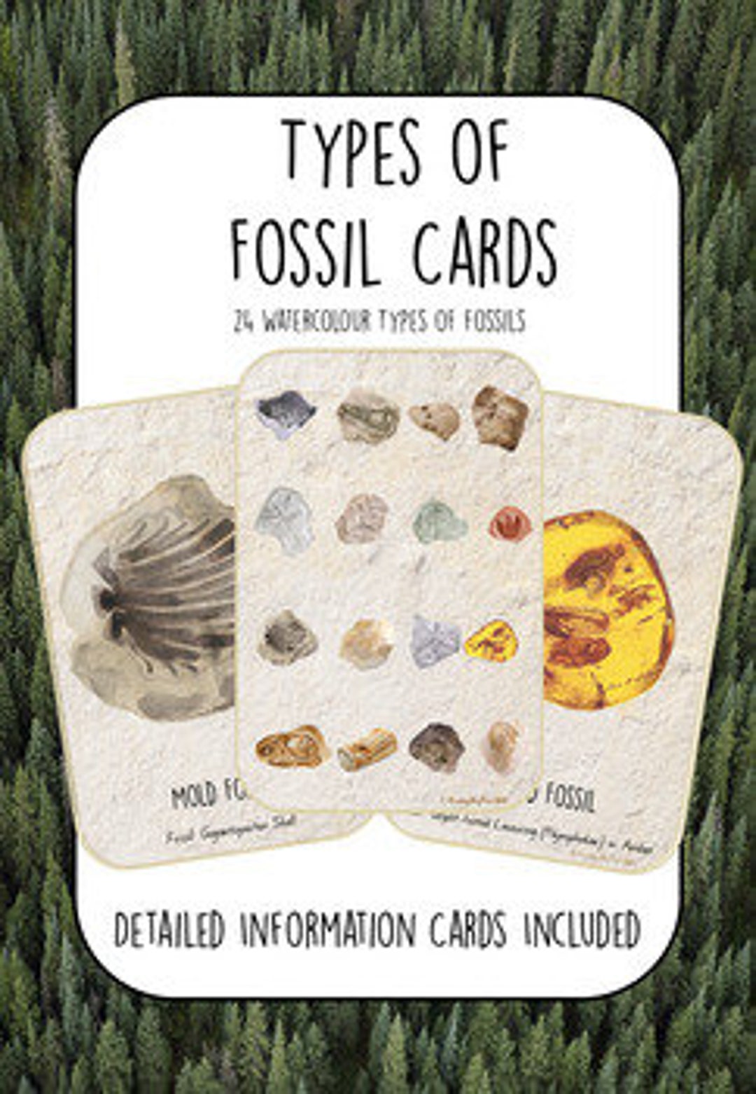 24 Watercolour Dinosaur Fossils and Fossil Classification Cards ...