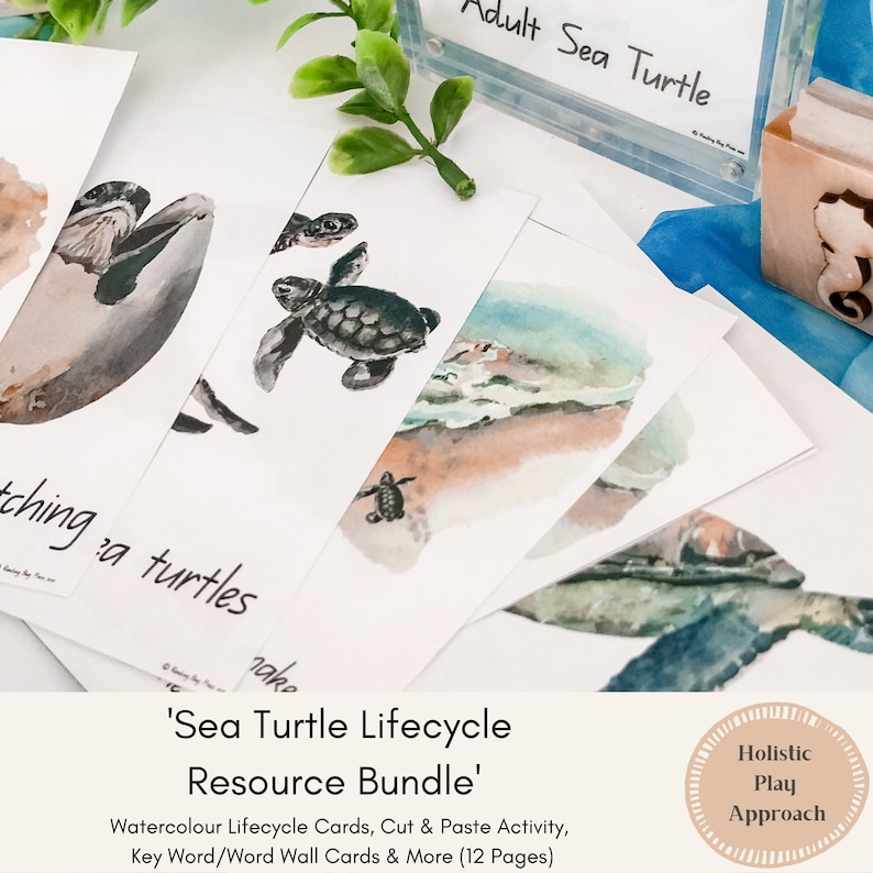 Watercolor Lifecycle of a Sea Turtle Set for Under the Sea Montessori ...