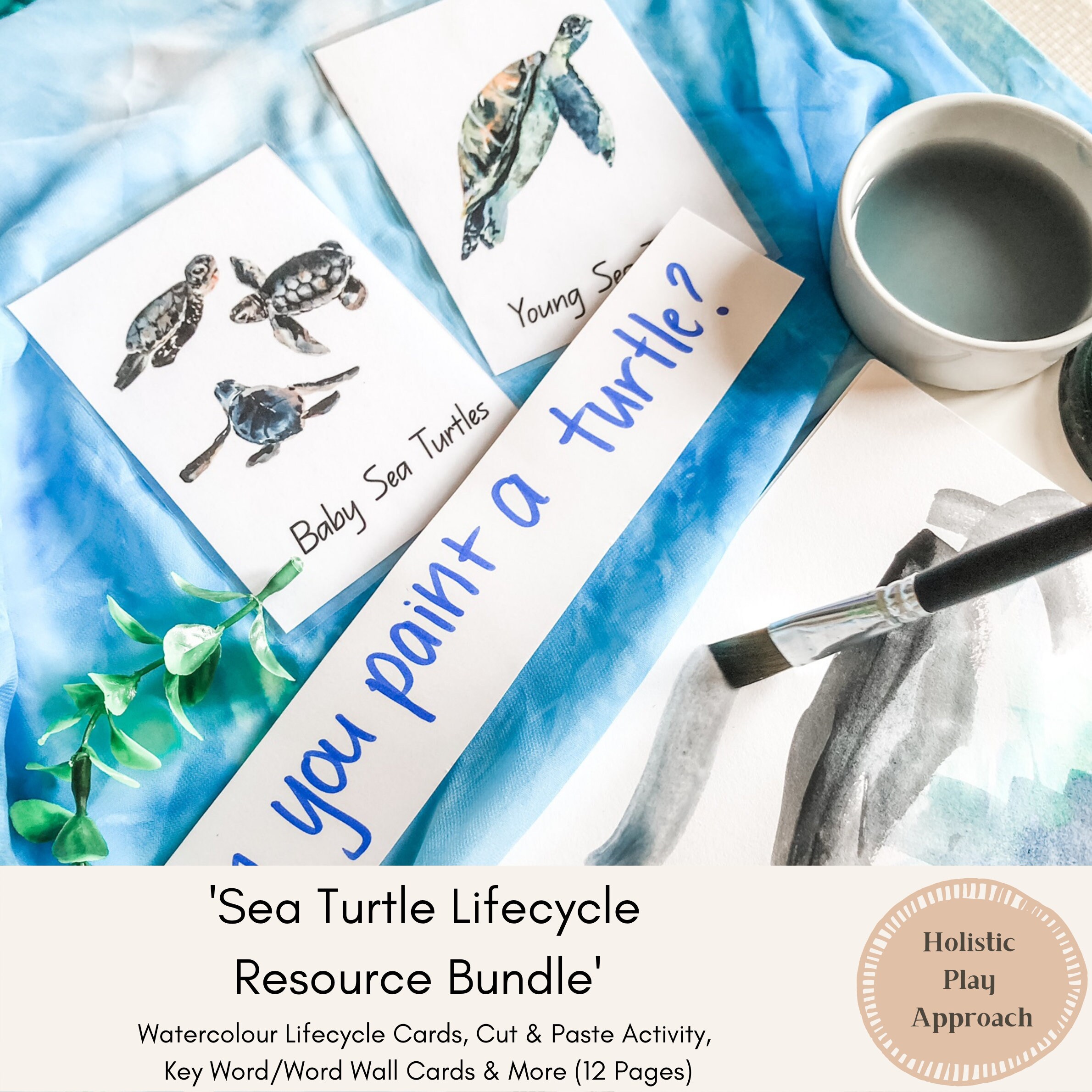 Watercolor Lifecycle of a Sea Turtle Set for Under the Sea Montessori ...