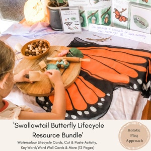 Watercolor Lifecycle of a Swallowtail Butterfly Set for Minibeasts ...