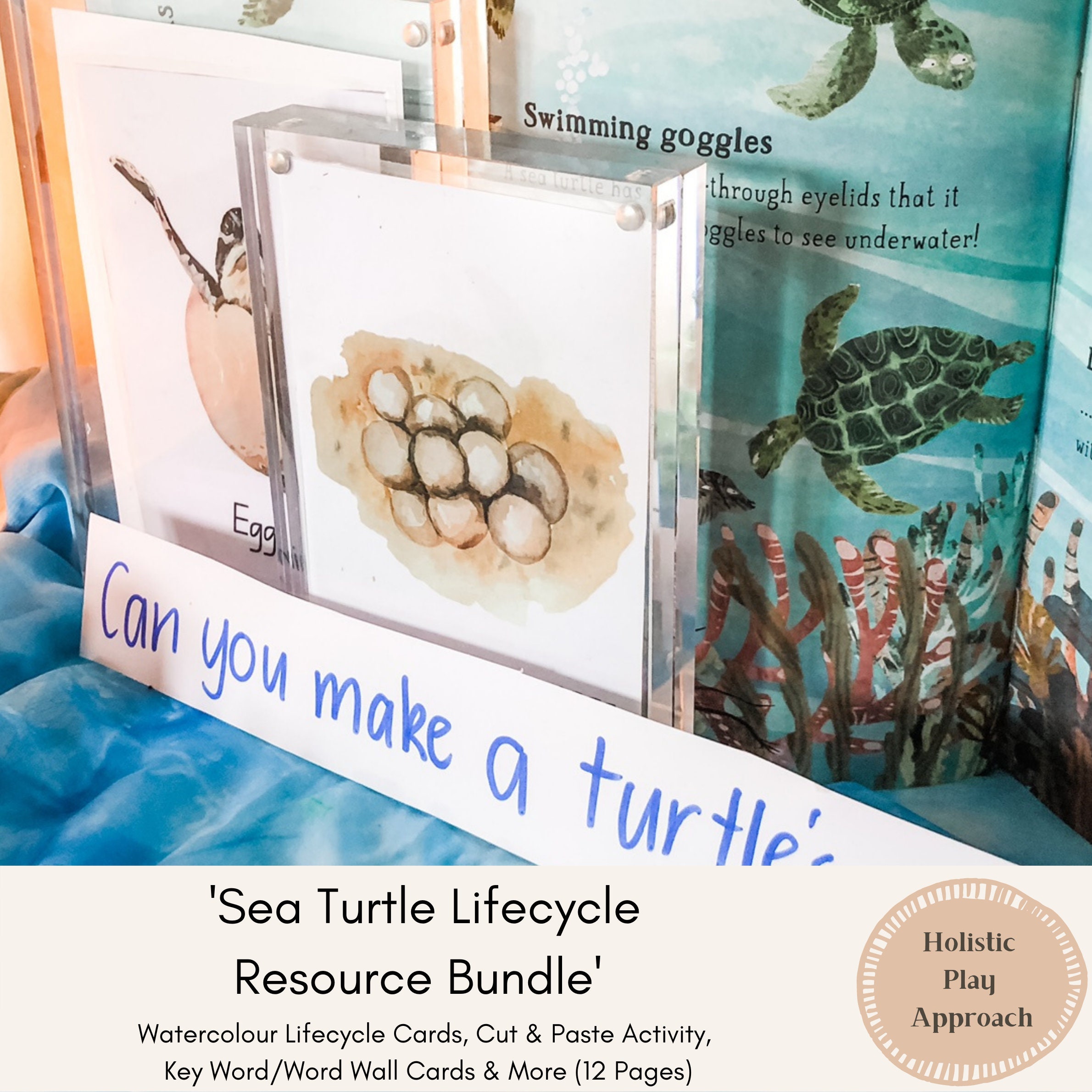 Watercolor Lifecycle of a Sea Turtle Set for Under the Sea Montessori ...