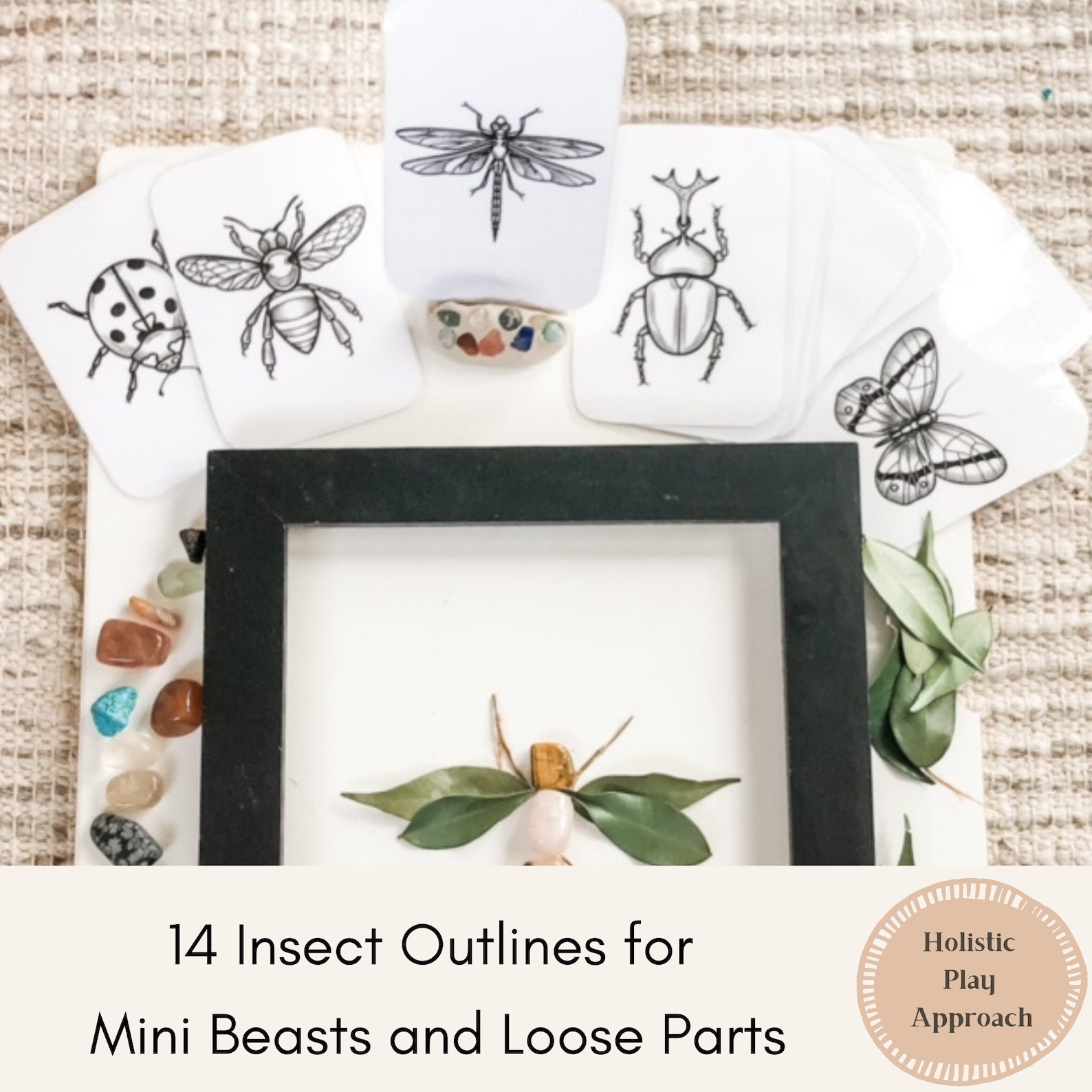14 Insect Outlines for Mini Beasts and Loose Parts Montessori - Etsy