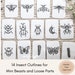 14 Insect Outlines for Mini Beasts and Loose Parts Montessori - Etsy