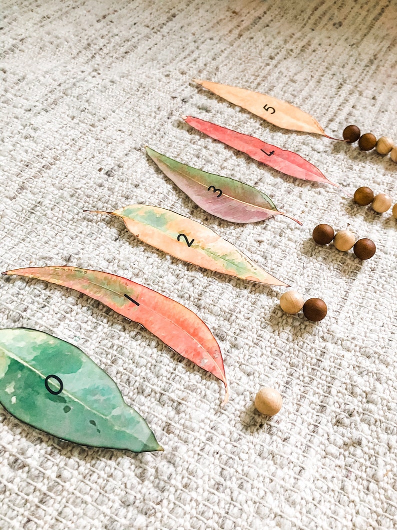 Australian Gumtree and Eucalyptus Leaf Number 0-100 Number Cards 1 ...