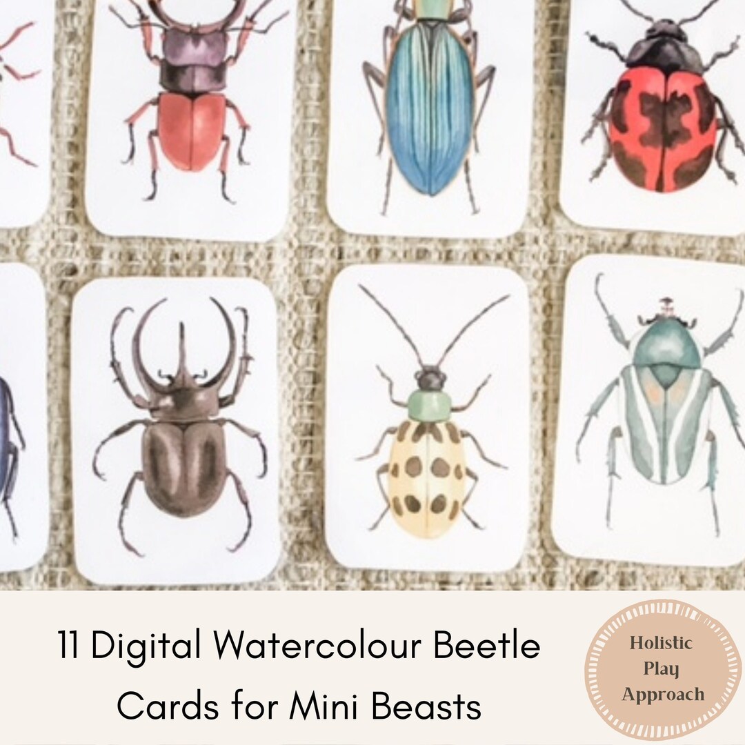 11 Digital Watercolour Beetle Flashcards for Mini Beasts Montessori - Etsy