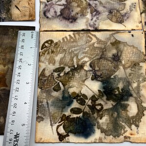 Big Variety of Eco Dyed Watercolor Paper for Crafting - Etsy