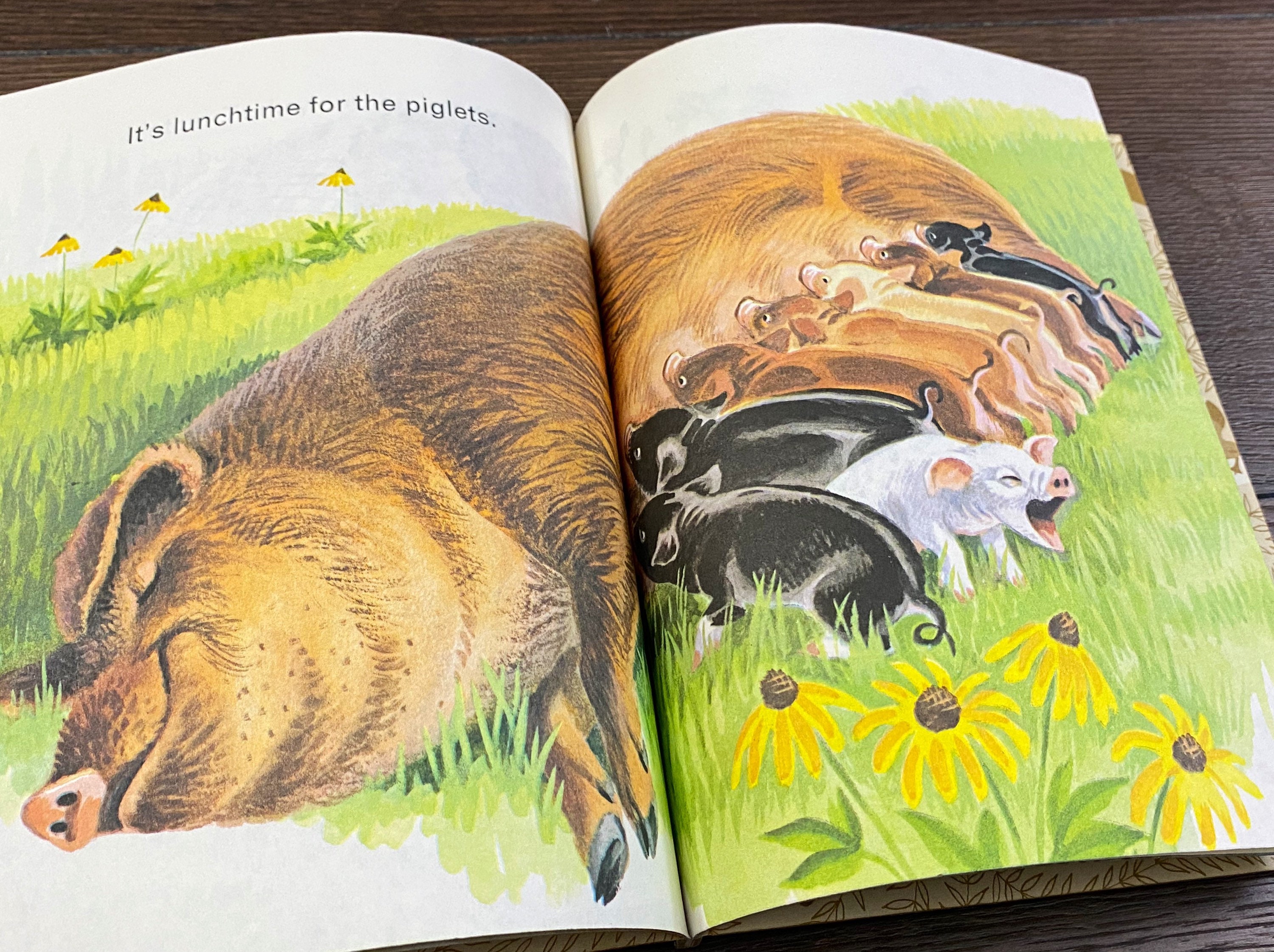 Animals on the Farm Book, Vintage Children’s Book, Storybook, Little ...