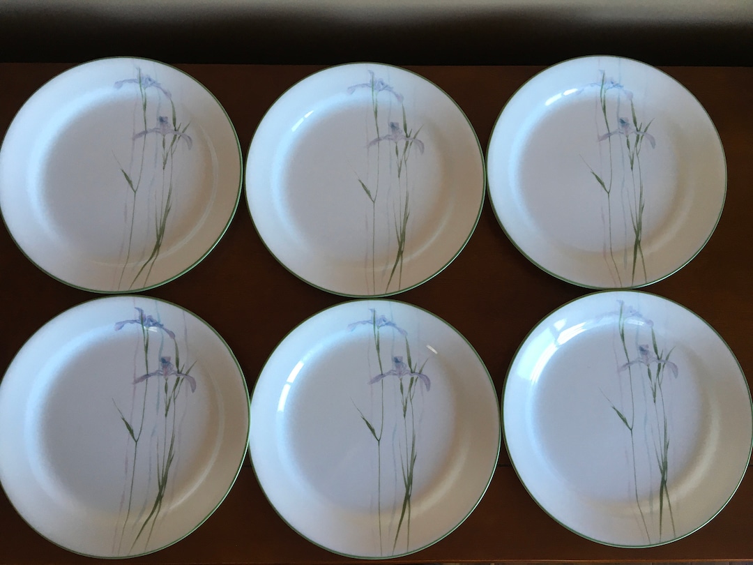 Set of 2 Vintage Corelle Shadow Iris 9” Lunch Plates - Etsy