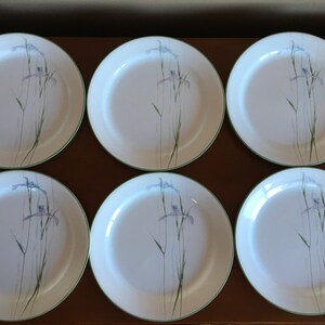 Corelle Iris - Etsy