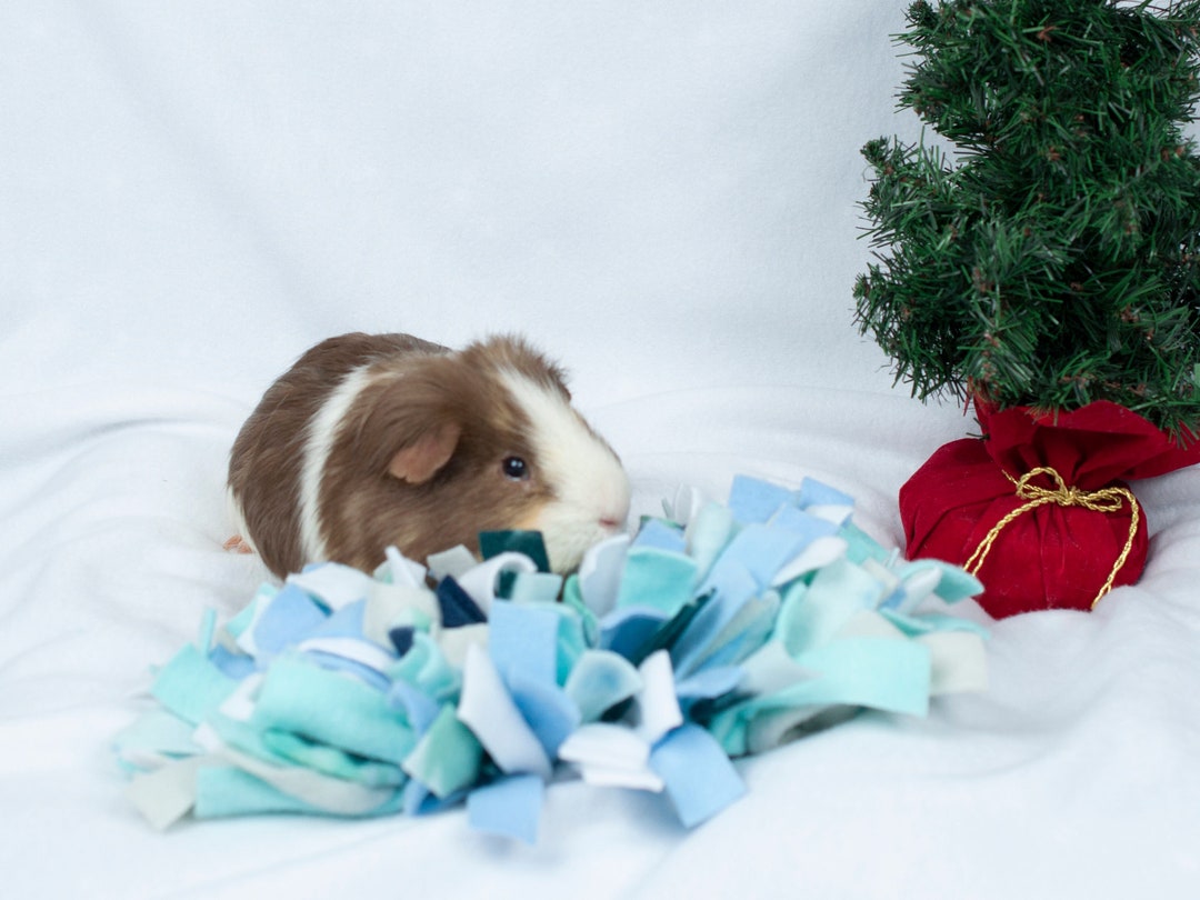 Snuffle Mat for Guinea Pigs, Rabbits, Bunnies, Enrichment Toy, Slow ...