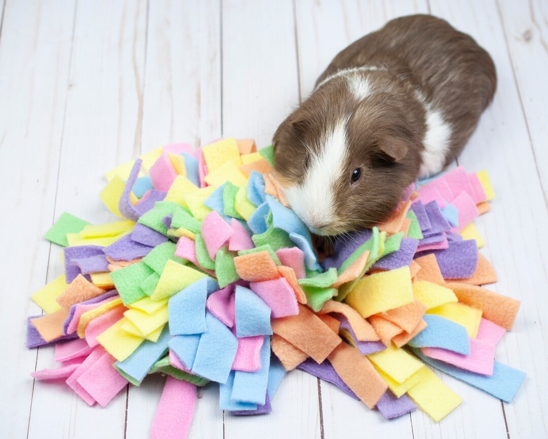 Snuffle Mat for Guinea Pigs, Rabbits, Bunnies, Enrichment Toy, Slow ...
