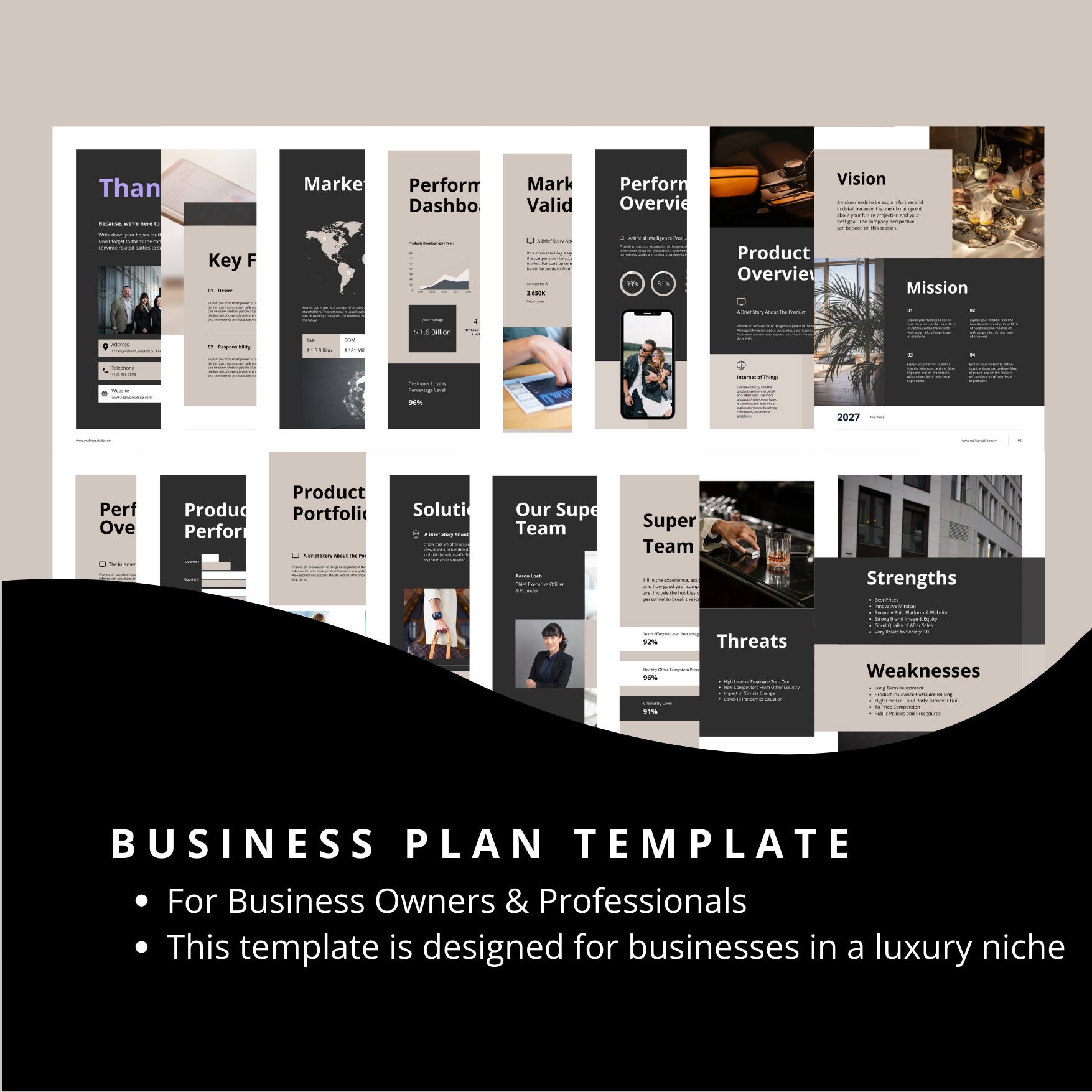 LUXURY Business Plan Template, Luxury Theme for Businesses - Etsy