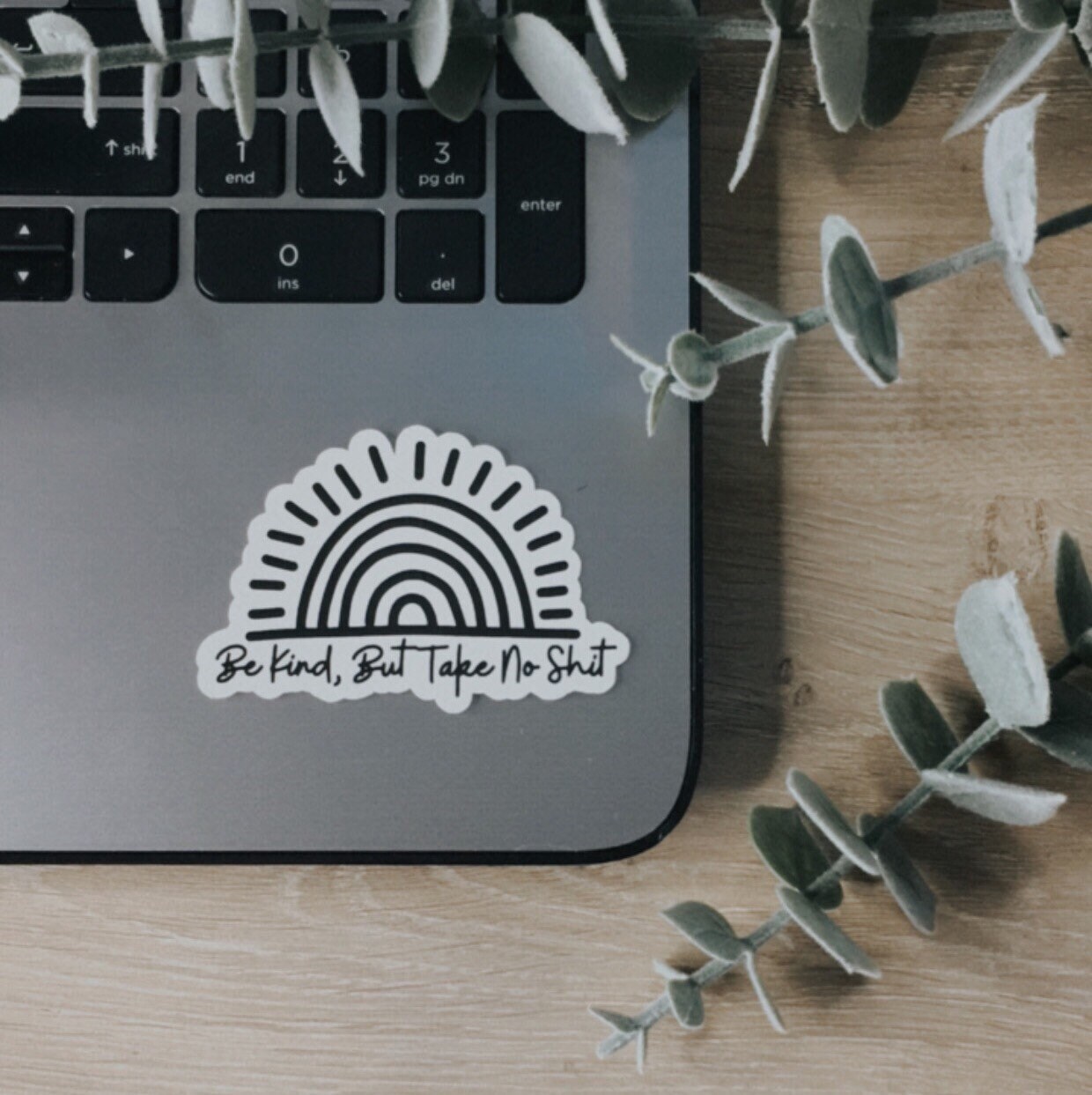 Be Kind but Take No Shit Sticker Black and White Stickers | Etsy