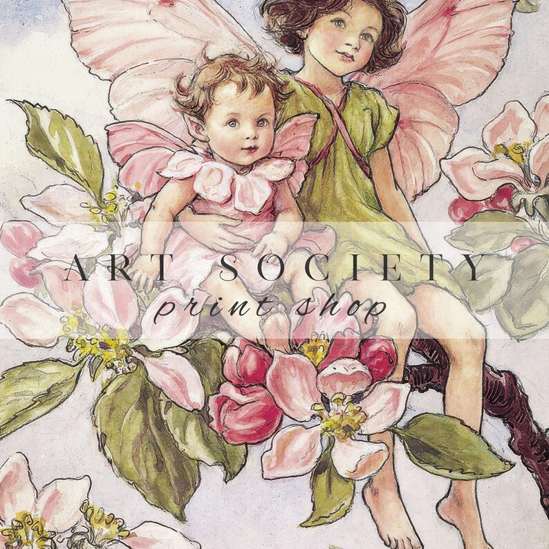 Flower Fairies Art Print Set: Cicely Mary Barker Vintage Illustrations ...