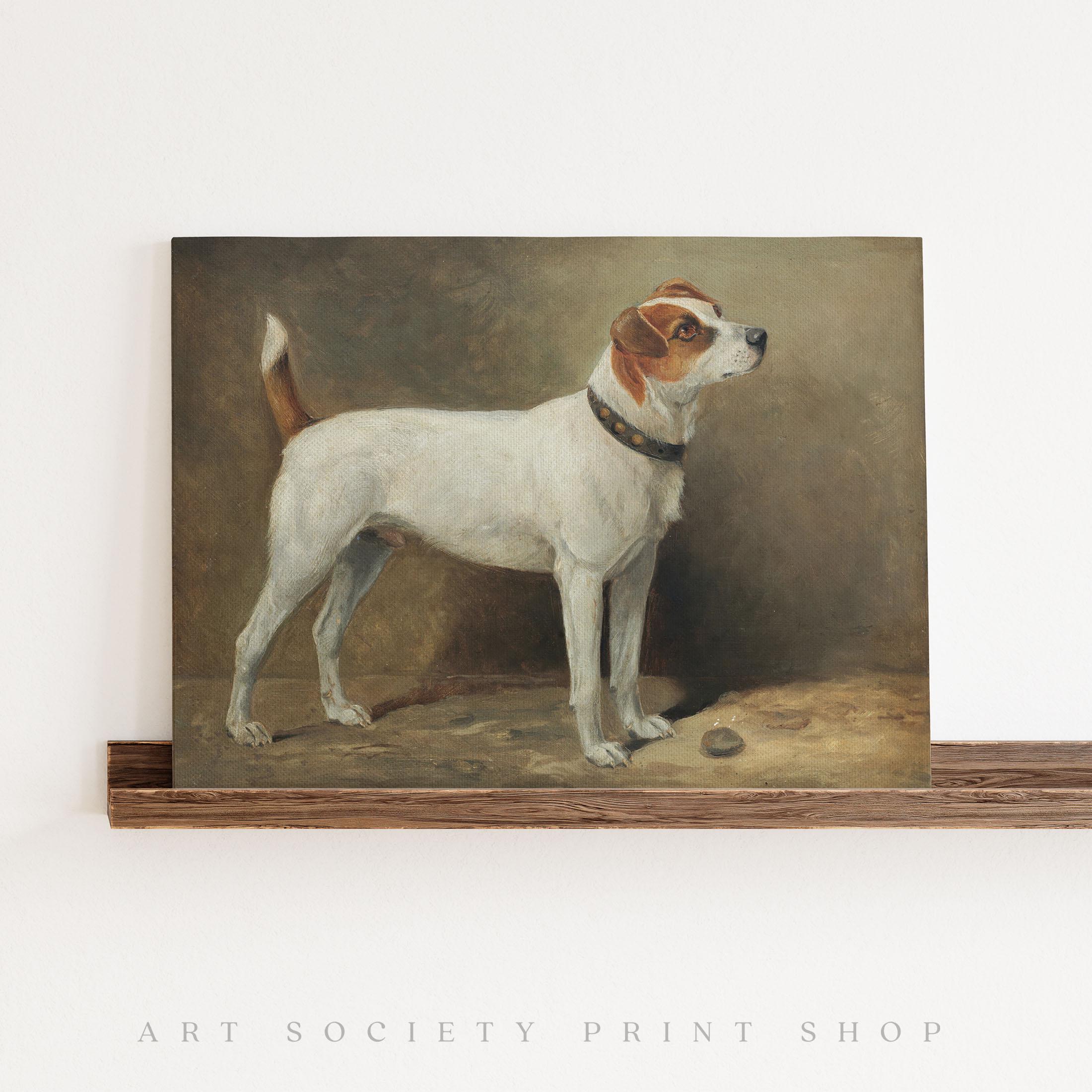 Vintage Jack Russell Terrier Dog Portrait, Antique Pet Art Print ...