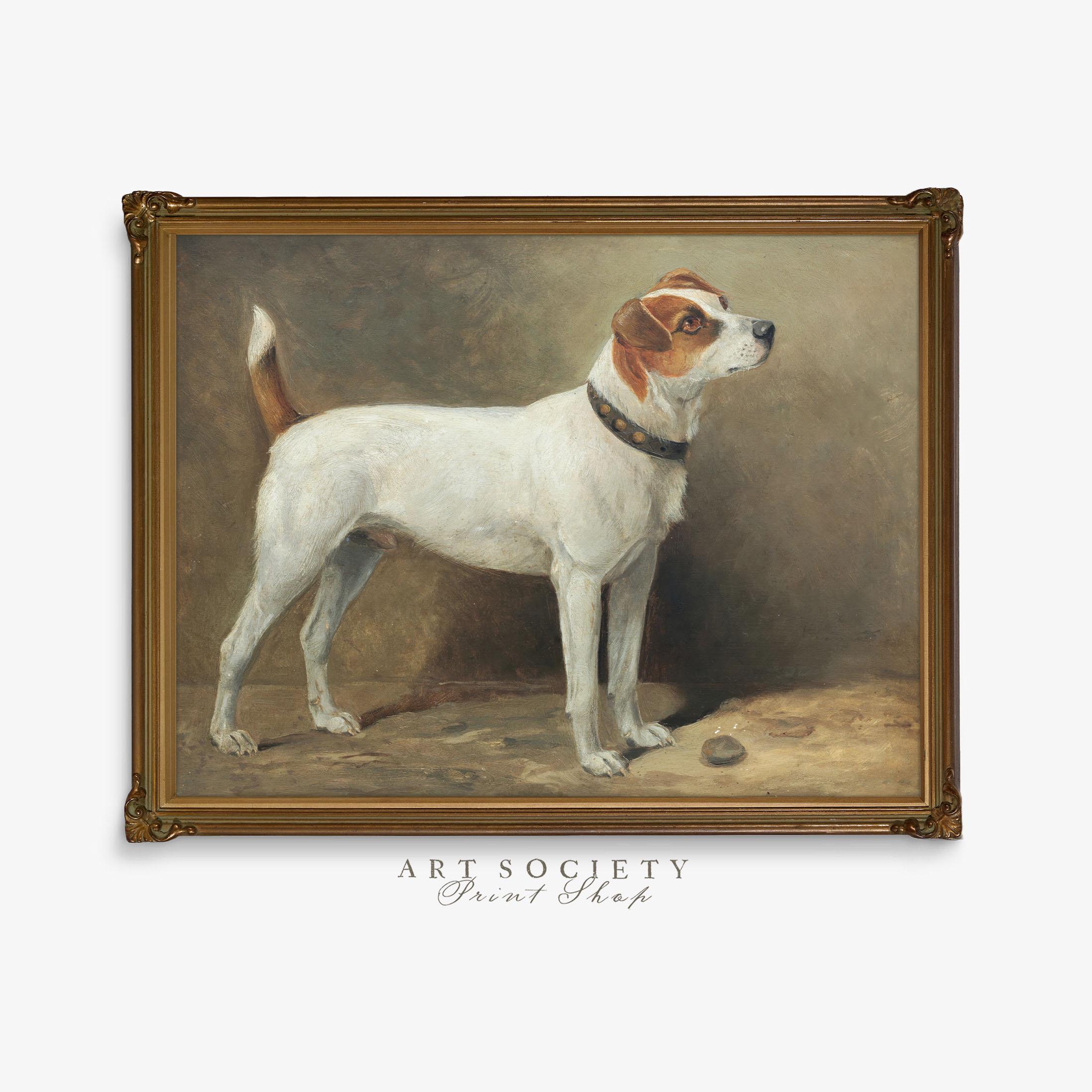 Vintage Jack Russell Terrier Dog Portrait, Antique Pet Art Print ...