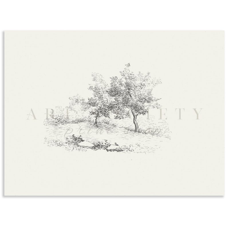 Tree Drawing Digital Art - Etsy