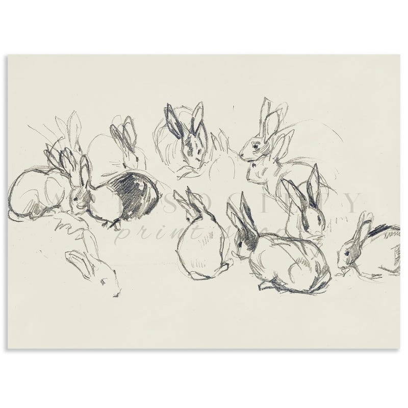 Rabbit Drawing - Etsy