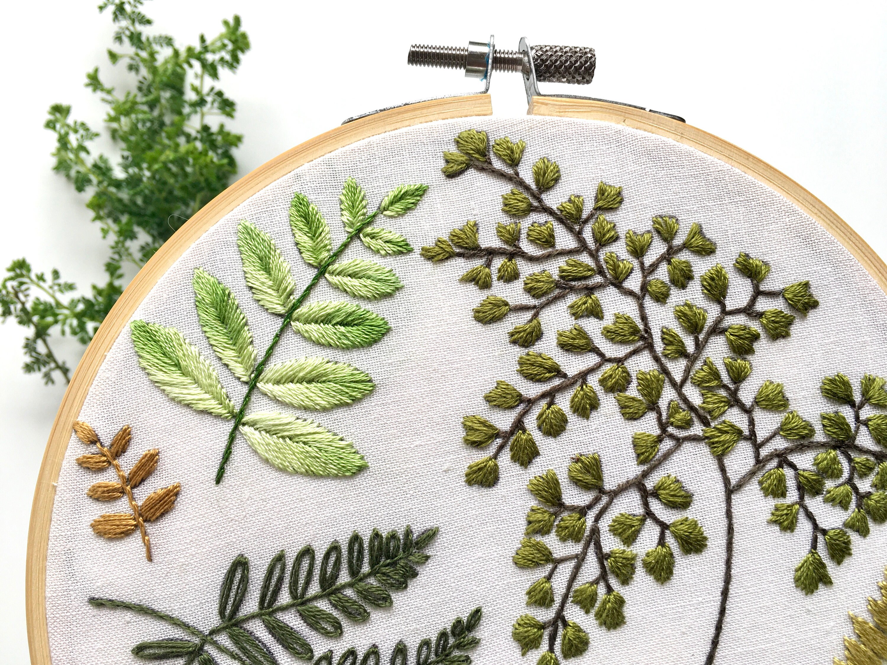 PDF Embroidery Pattern/fern Pattern /digital Download/6 or - Etsy UK