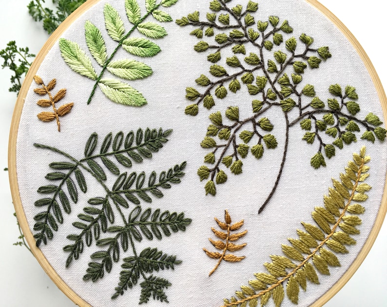 PDF Embroidery Pattern/fern Pattern /digital Download/6 or - Etsy