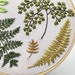 PDF Embroidery Pattern/fern Pattern /digital Download/6 or 7 Hoop/hand ...