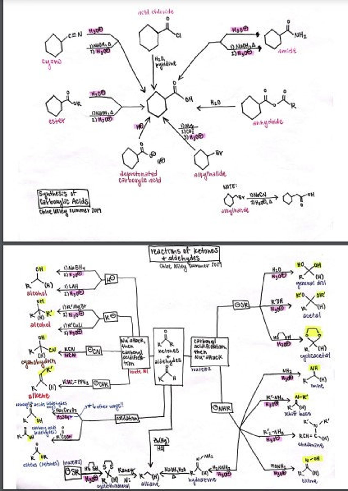 Organic Chemistry Study Sheet #1 - Etsy