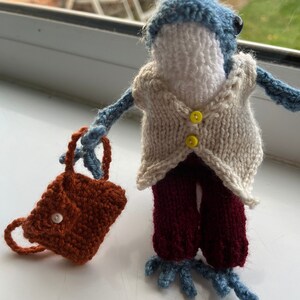 Hand Knitted Clothes for Frog, Doll, Pocket Frog Emotional Support From ...