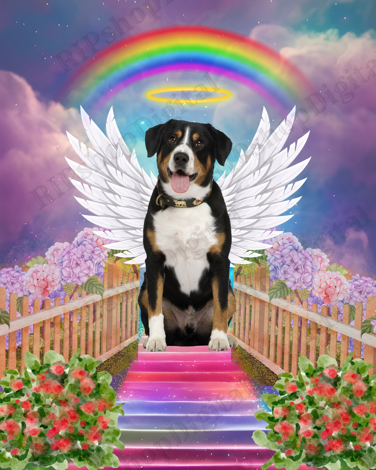 Rainbow Bridge Dog Stairway to Heaven, Digital Pet Loss Gift Background ...