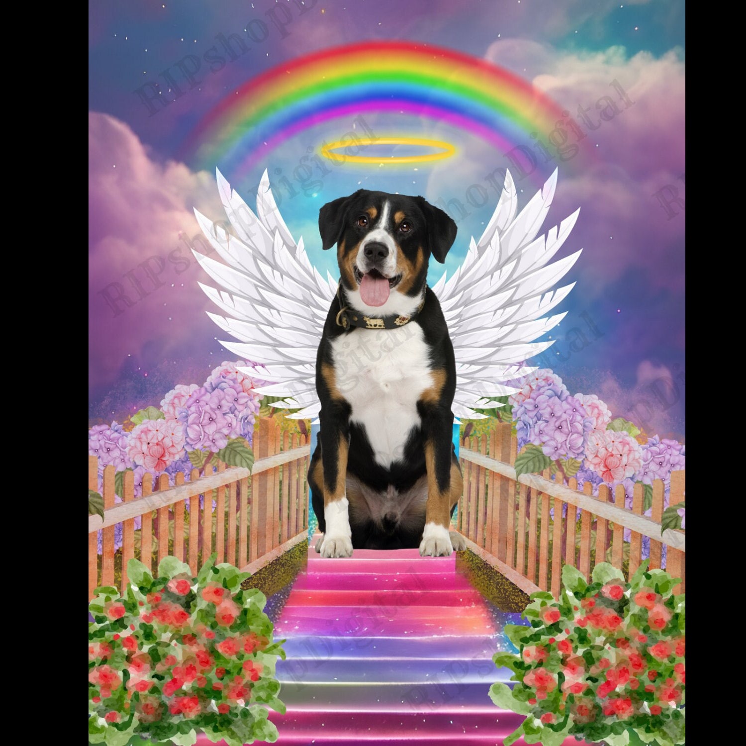 Rainbow Bridge Background, Dog Rainbow Bridge PNG, Stairway to Heaven ...