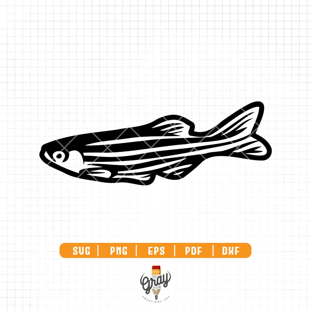 Zebrafish Svg , Cute Fish Svg, Aquarium Fish, Cricut,silhouette, Fish ...