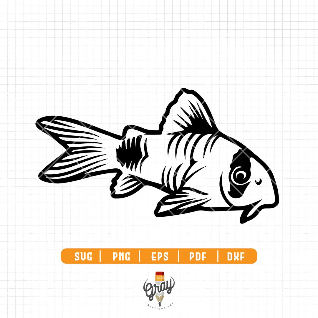 Cory Catfish Svg , Cute Fish Svg, Aquarium Fish, Cricut,silhouette ...