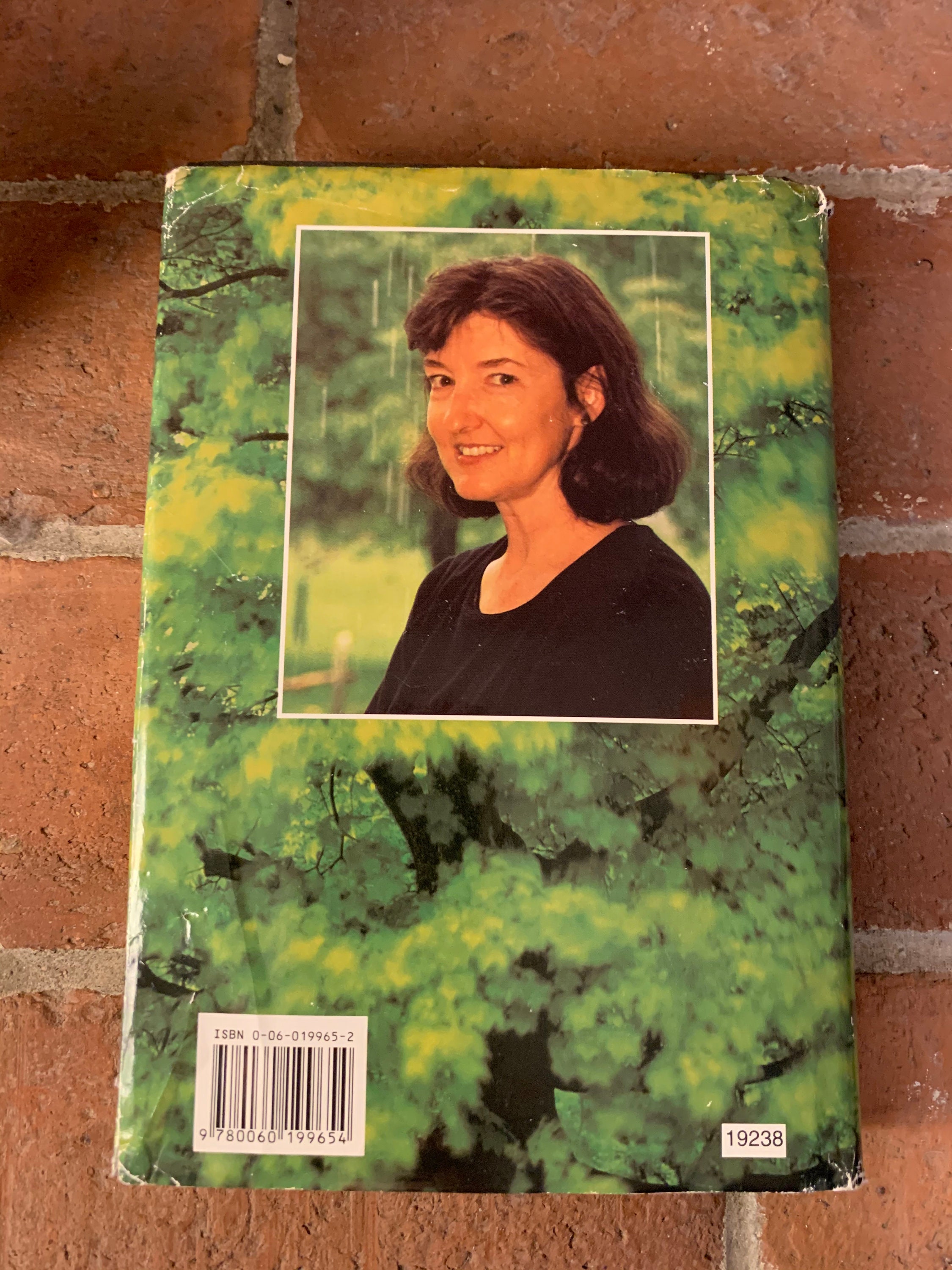 Prodigal Summer Book Painting, Original Book Art, Book Shelf Decor ...