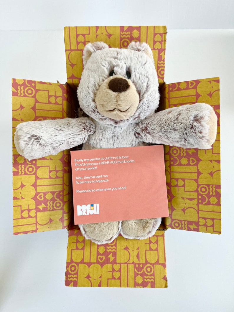 Hug in a Box Cheer up Gift Comfort Gift Box Get Well - Etsy