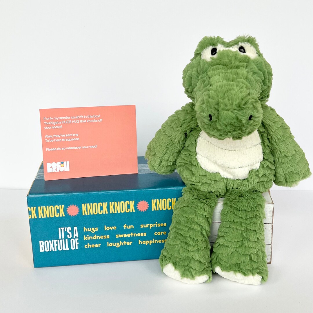 Alligator Gift | Hug in a Box | Long Distance Gift | Comfort Gift Box ...
