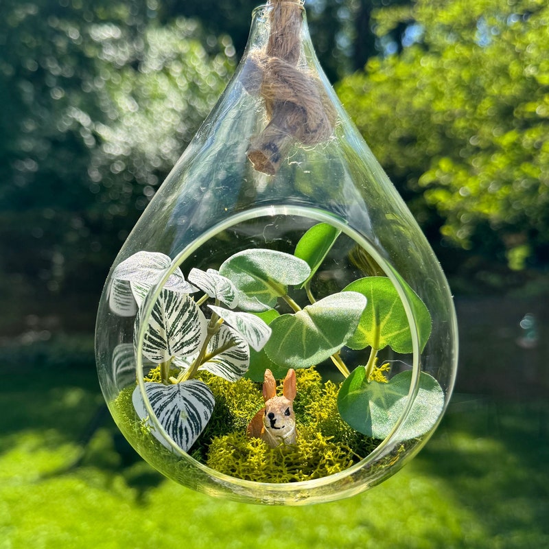 Fake Plant Terrarium - Etsy