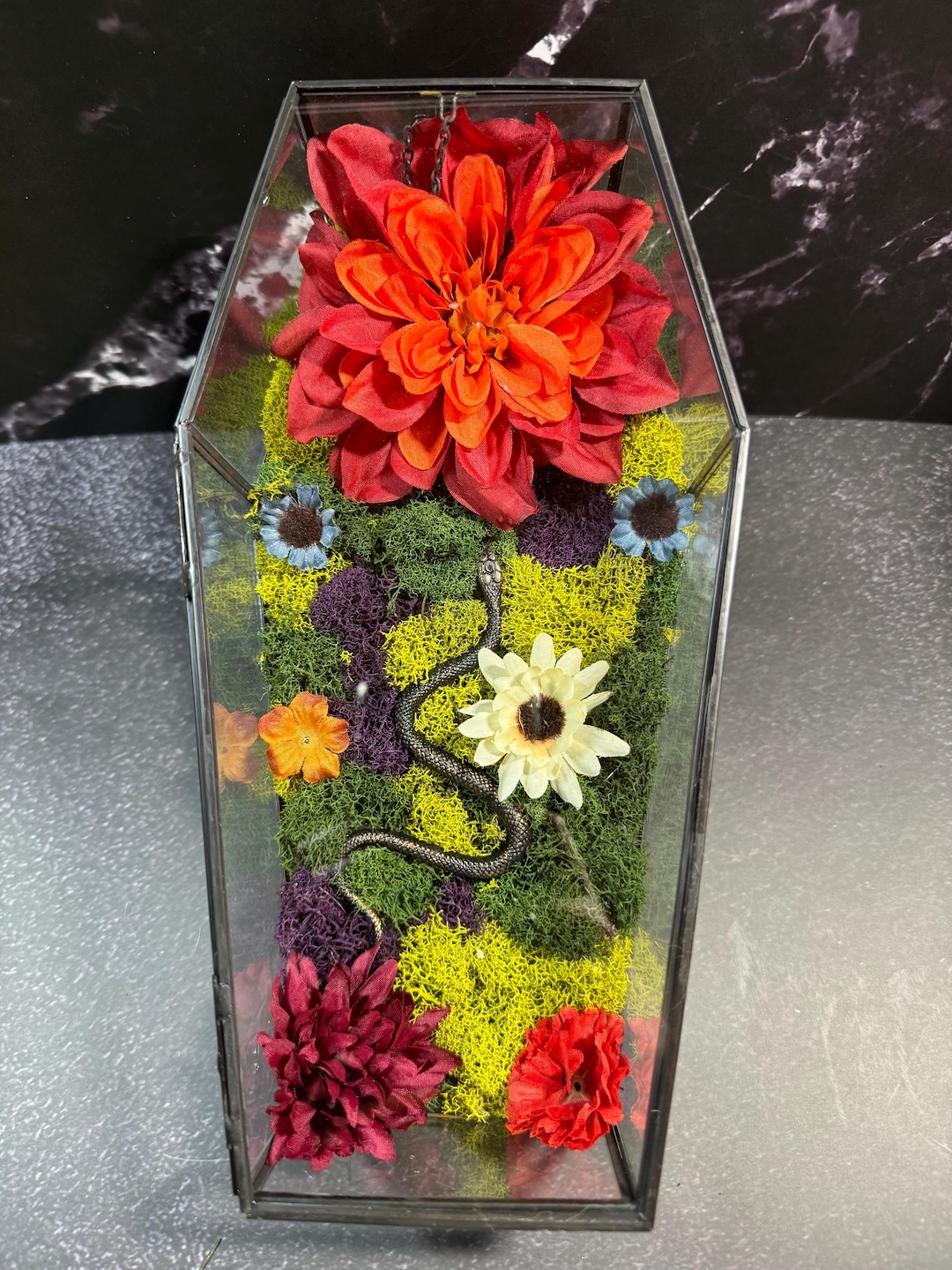 Glass Coffin Terrarium Ft Snake and Florals / Halloween Terrarium ...