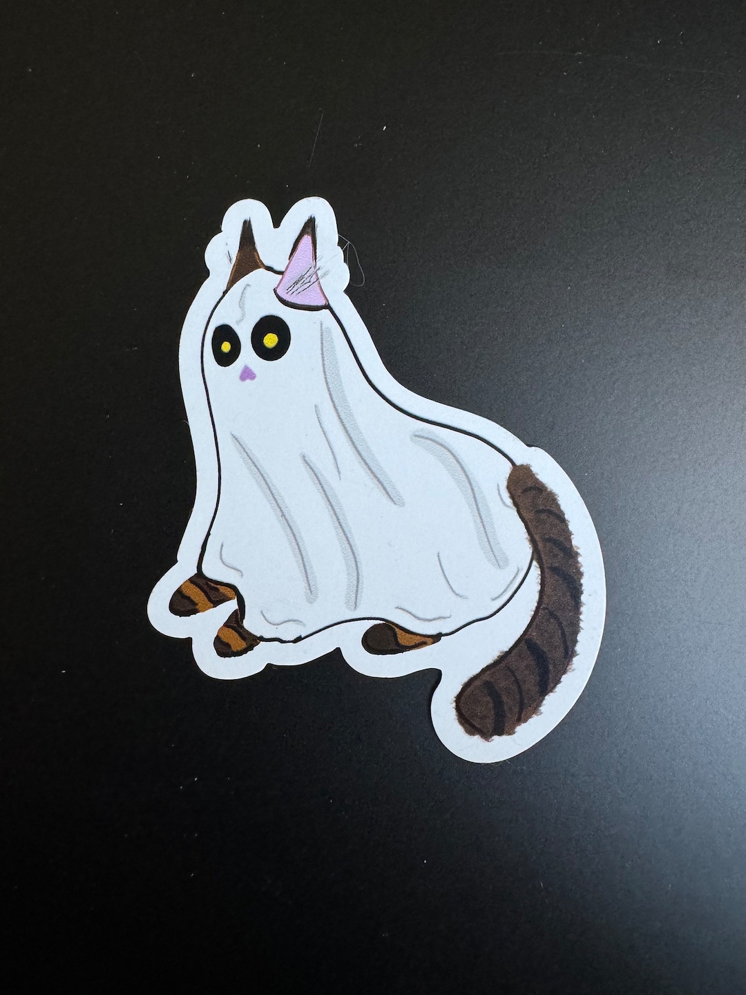 Maine Coon Ghost Cat Magnet / Maine Coon Cat / Car Magnet / Fridge ...