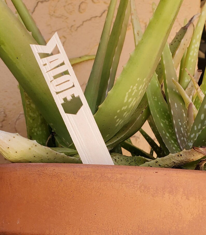 Vegetable Garden Stakes Sticks SVG - Etsy